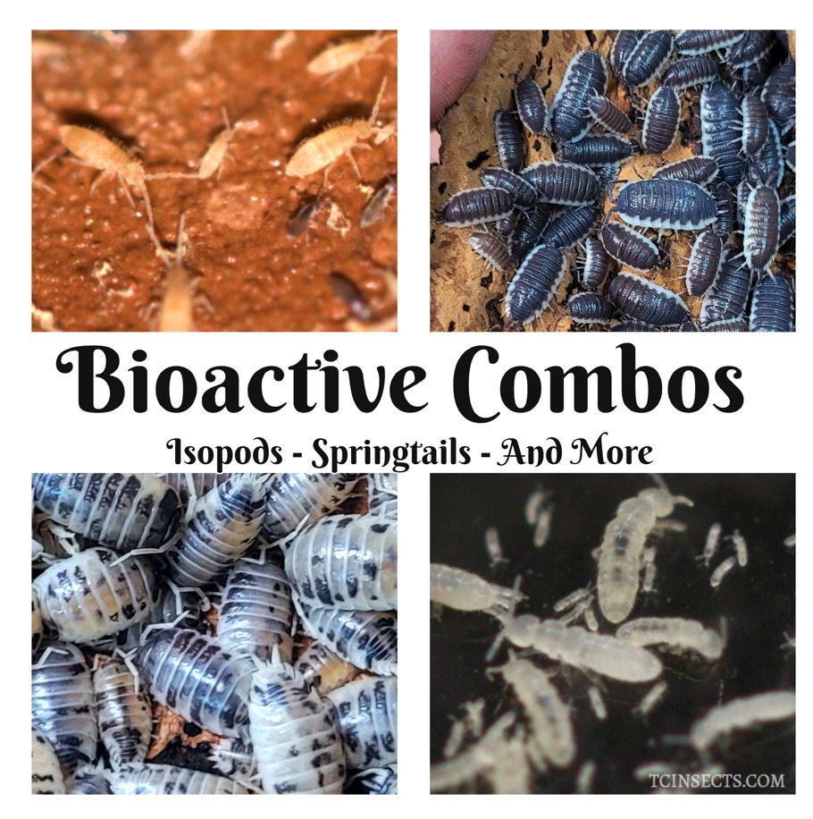 Bioactive Insect Combos Archives - TC INSECTS