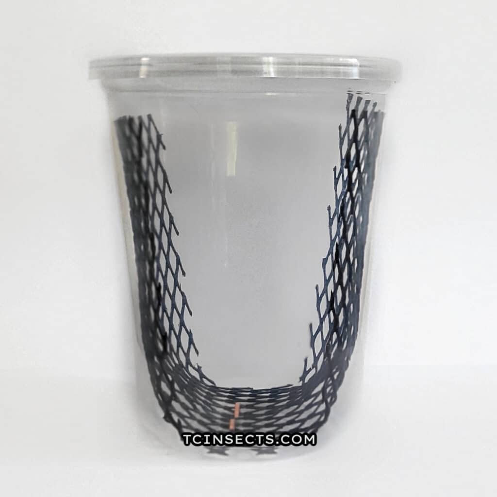 Habitat Cup 32oz | No Food - TC INSECTS