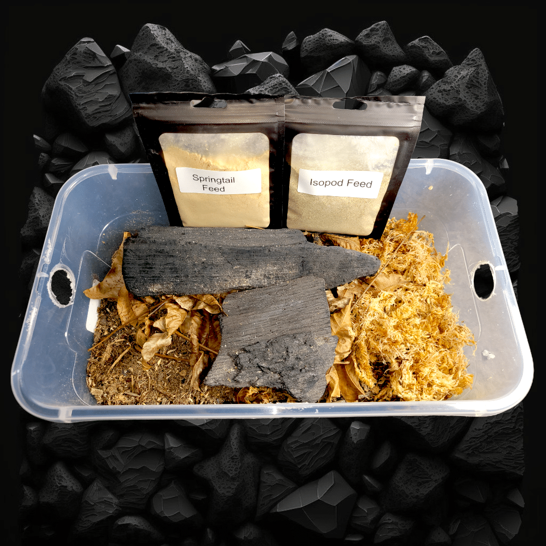 Premium Isopod Habitat Kit - TC INSECTS