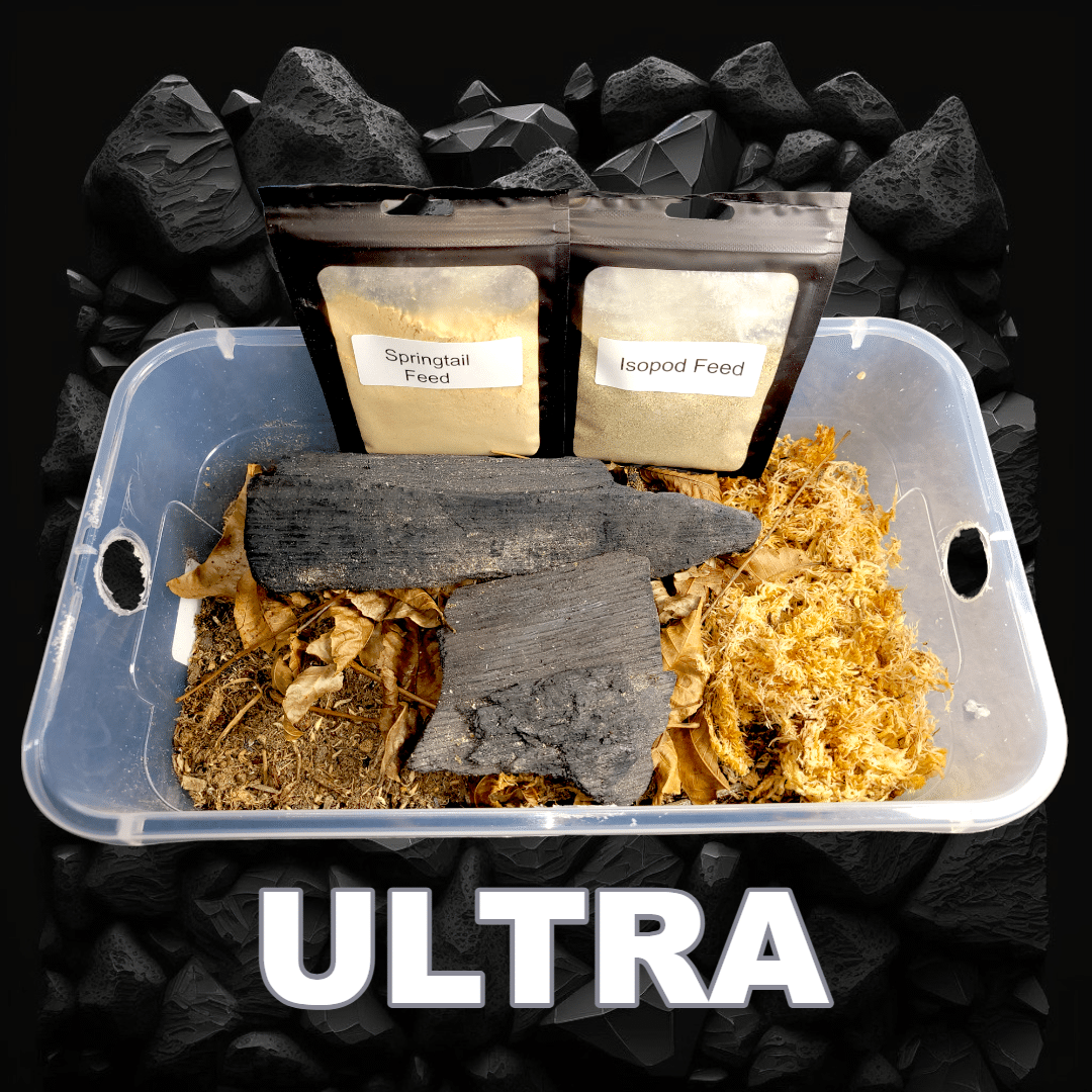 Ultra Isopod Habitat Kit - Rottwood + Flake - TC INSECTS
