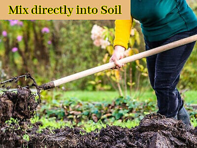 Mealworm | Worm Frass - TC INSECTS